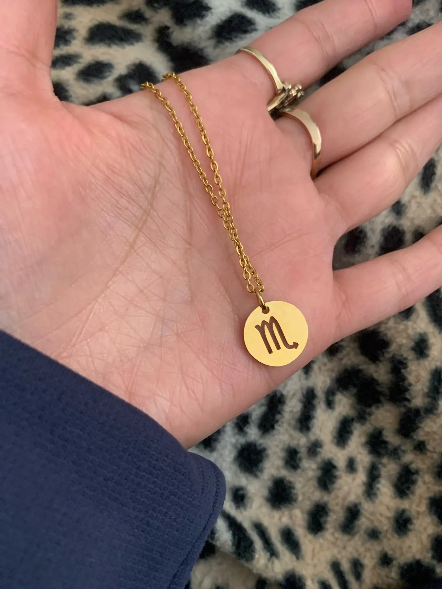 Zodiac Disc Necklace- Gold – The Libra Edit